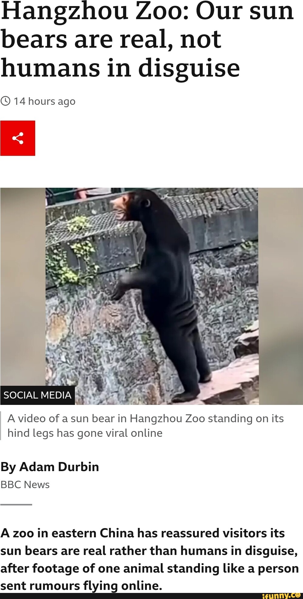 Hangzhou Zoo: Our sun bears are real, not humans in disguise 14 hours ...
