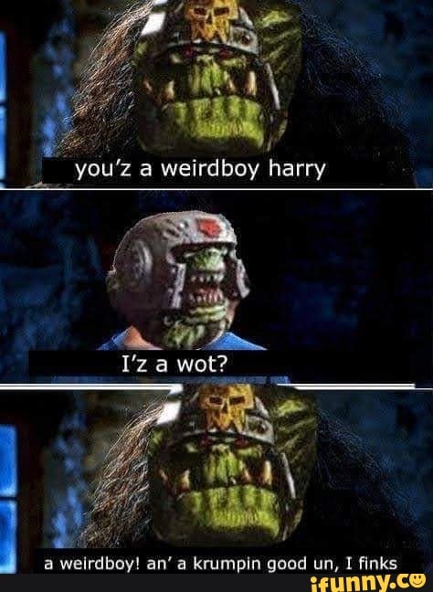 Finks memes. Best Collection of funny Finks pictures on iFunny