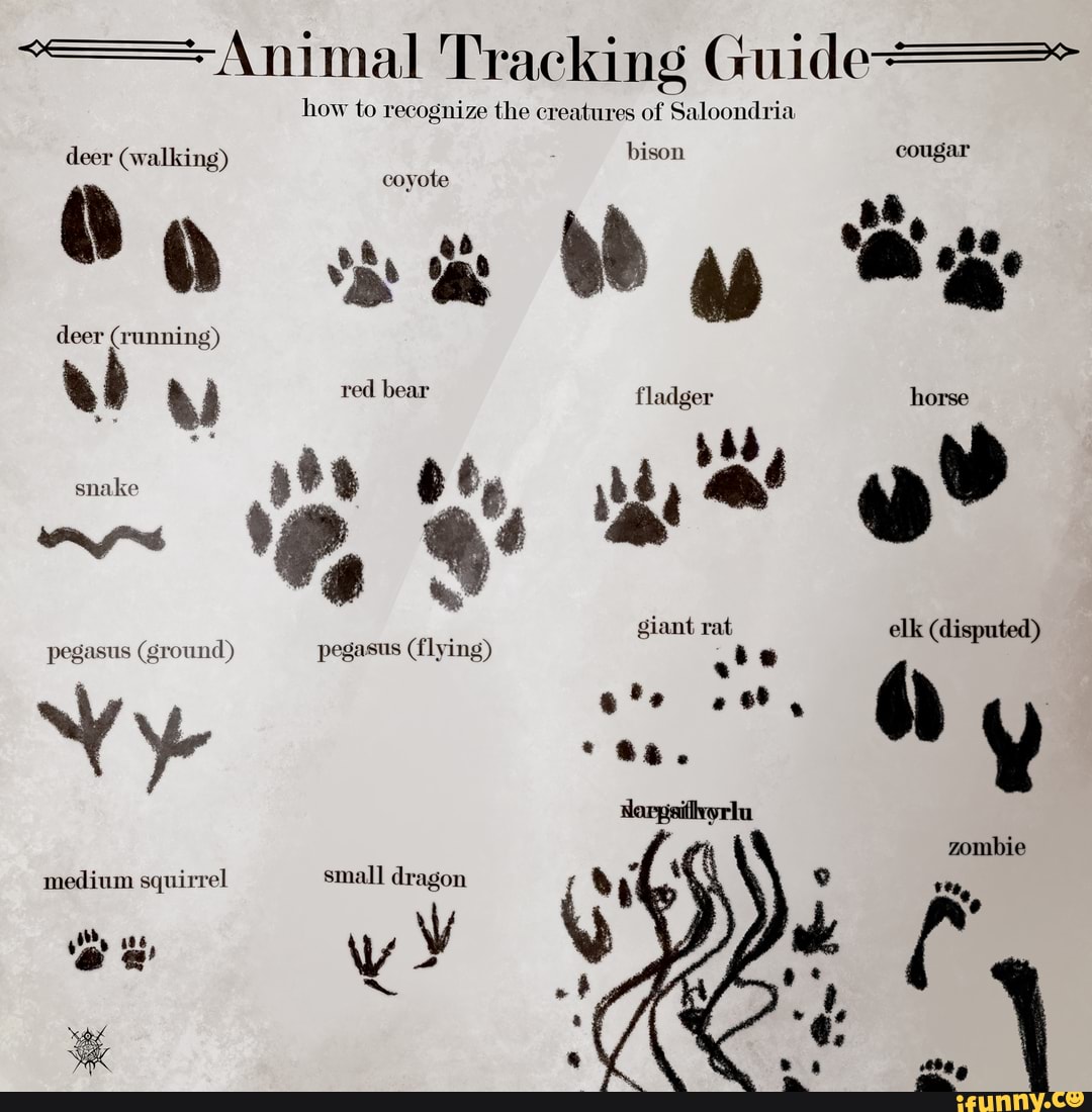 Animal Tracking Guide=- how to recognize the creatures of Saloondria ...