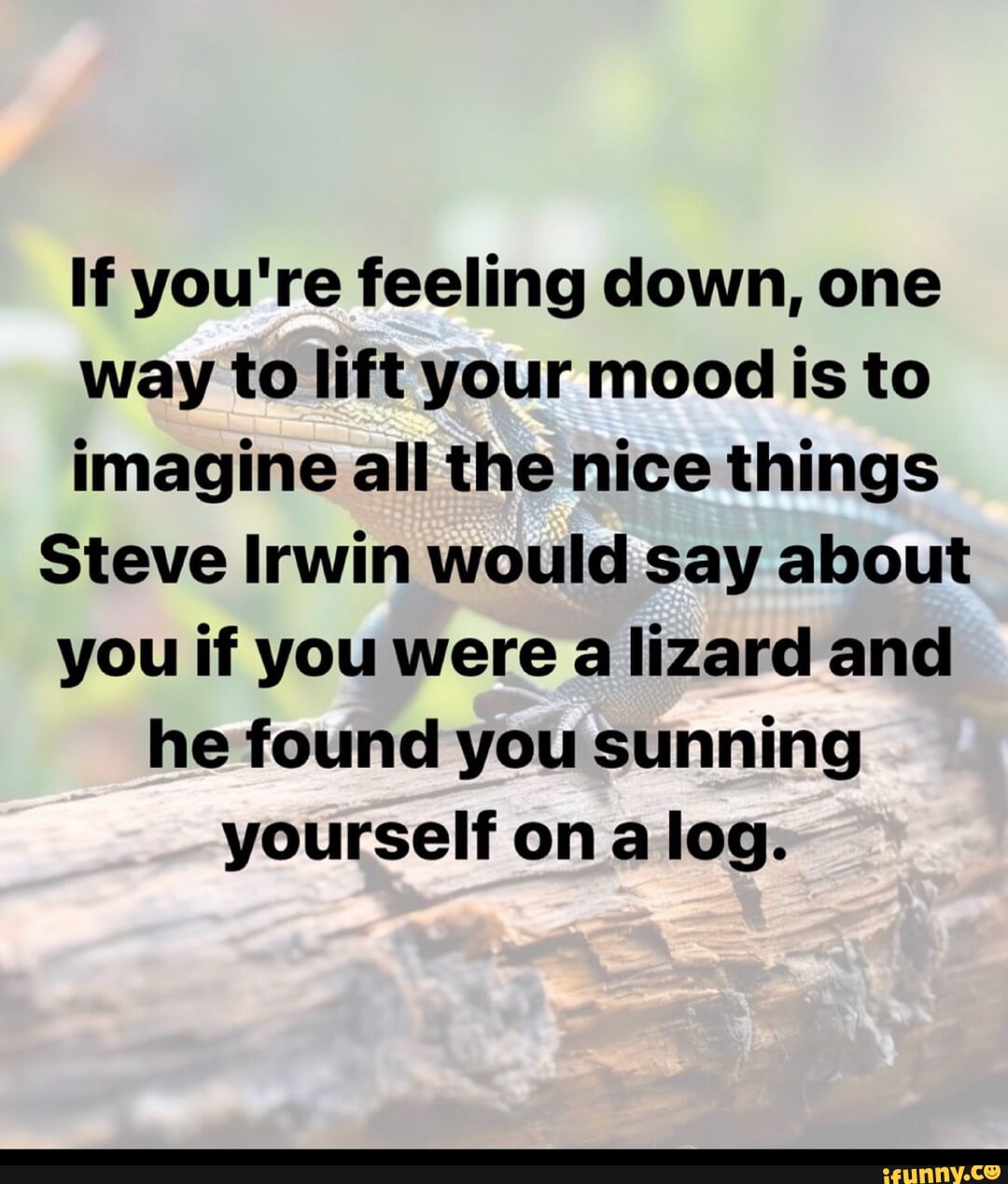 If you're feeling down, one way to lift your mood is to imagine all the ...