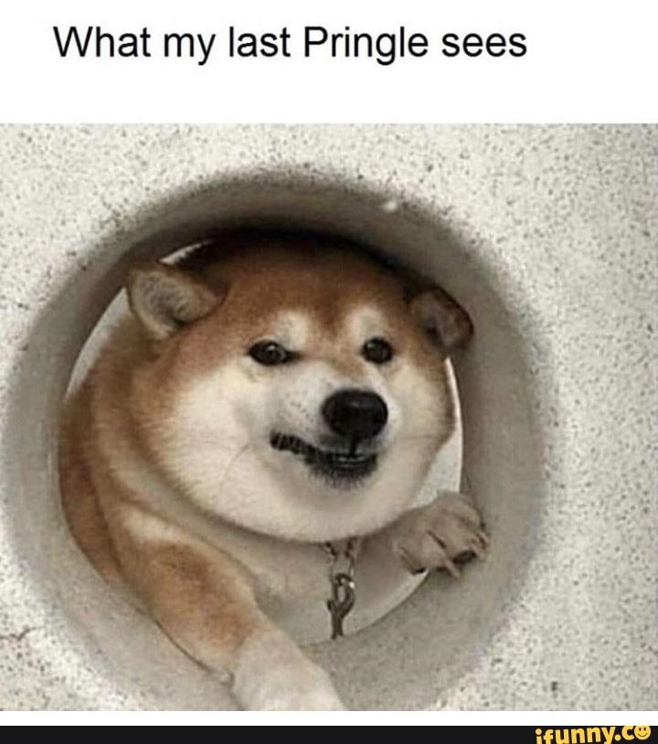 What my last Pringle sees - iFunny
