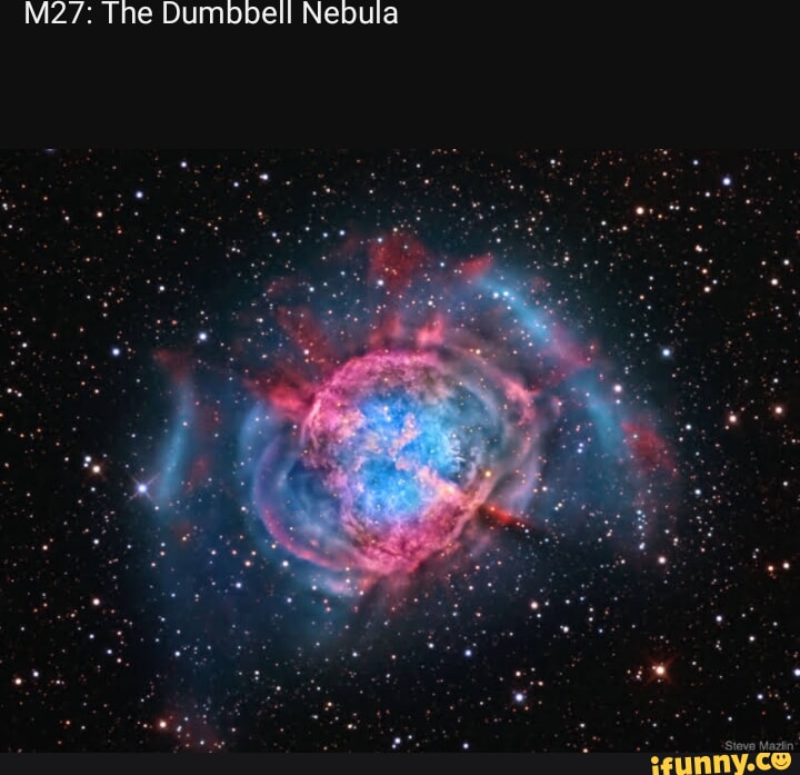 Dumbbell memes. Best Collection of funny Dumbbell pictures on iFunny