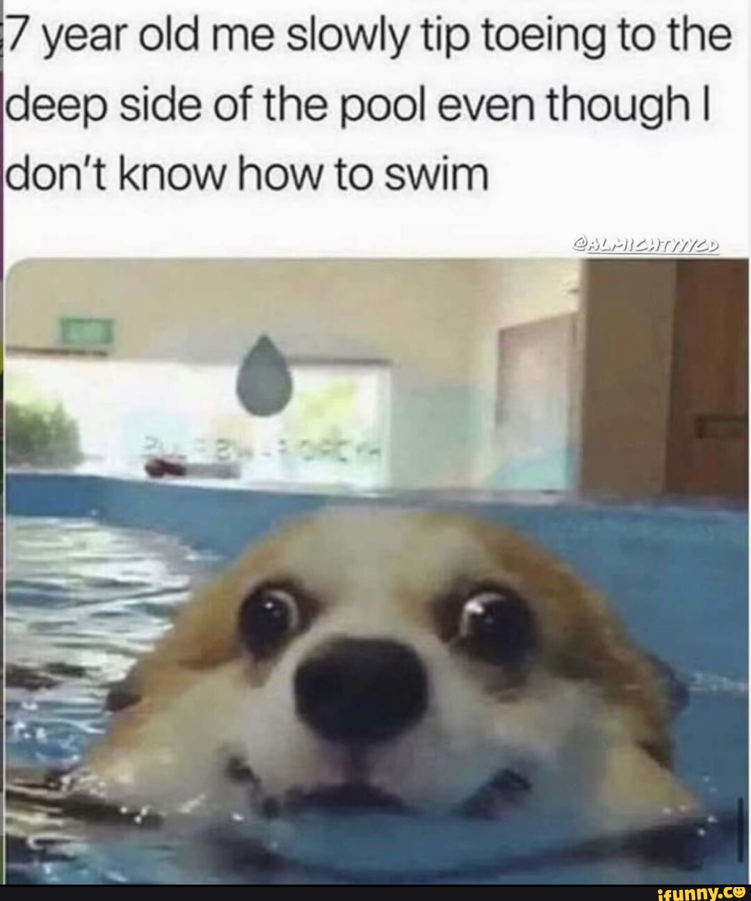 Toeing memes. Best Collection of funny Toeing pictures on iFunny