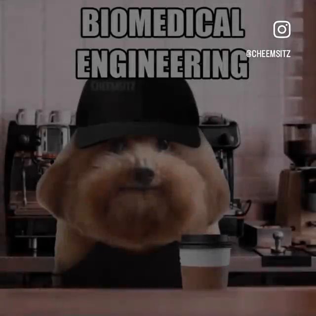 Biomedical Memes