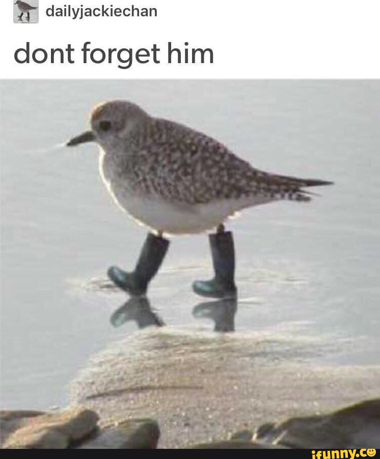 THE ONLY TIME BUNTING IS ACCEPTABLE - iFunny