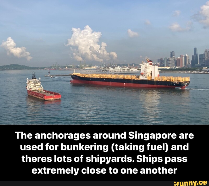 Shipyards memes. Best Collection of funny Shipyards pictures on iFunny