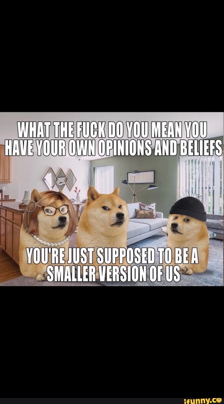 Dndjdn memes. Best Collection of funny Dndjdn pictures on iFunny