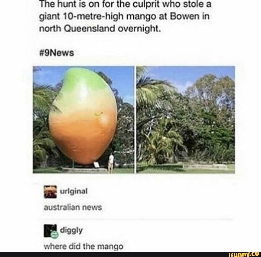 Queensland memes. Best Collection of funny Queensland pictures on iFunny