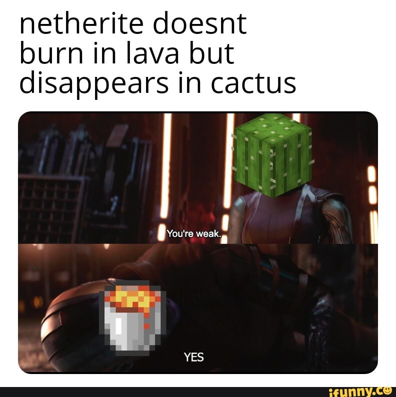 Netherite doesnt burn in lava but disappears in cactus - iFunny