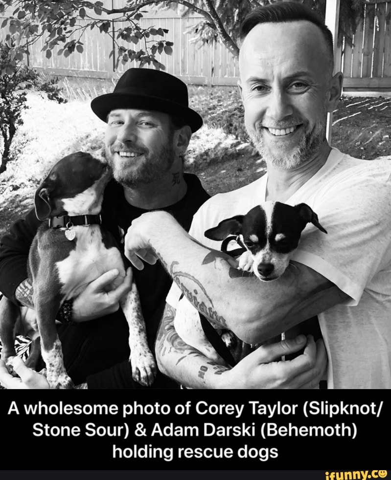 A wholesome photo of Corey Taylor (Slipknot/Stone Sour) & Adam Darski ...
