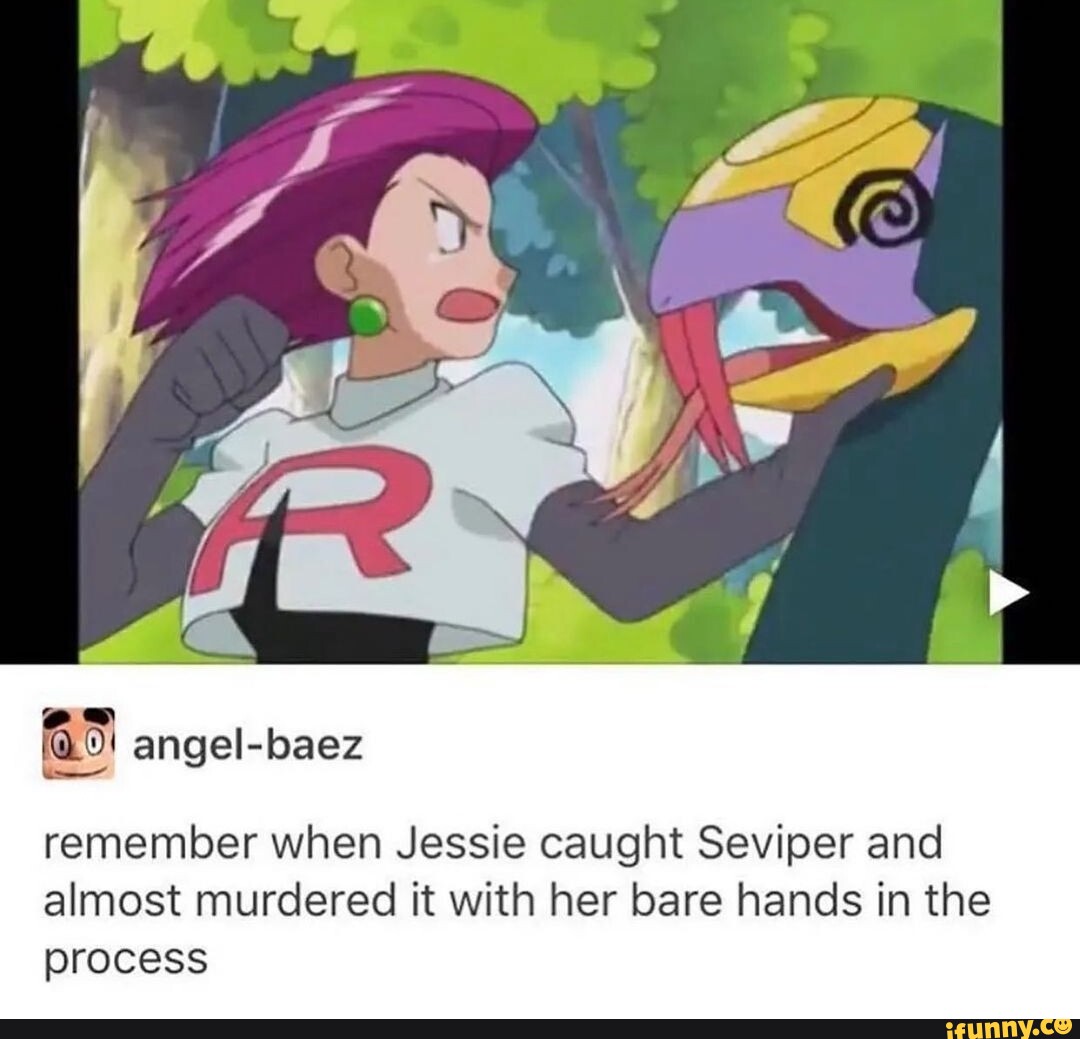 Angel-baez remember when Jessie caught Seviper and almost murdered it ...