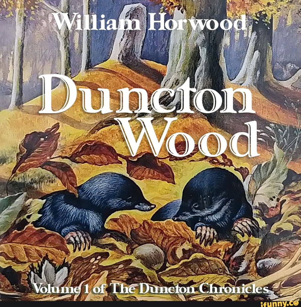 The_book_of_silence memes. Best Collection of funny The_book_of_silence ...