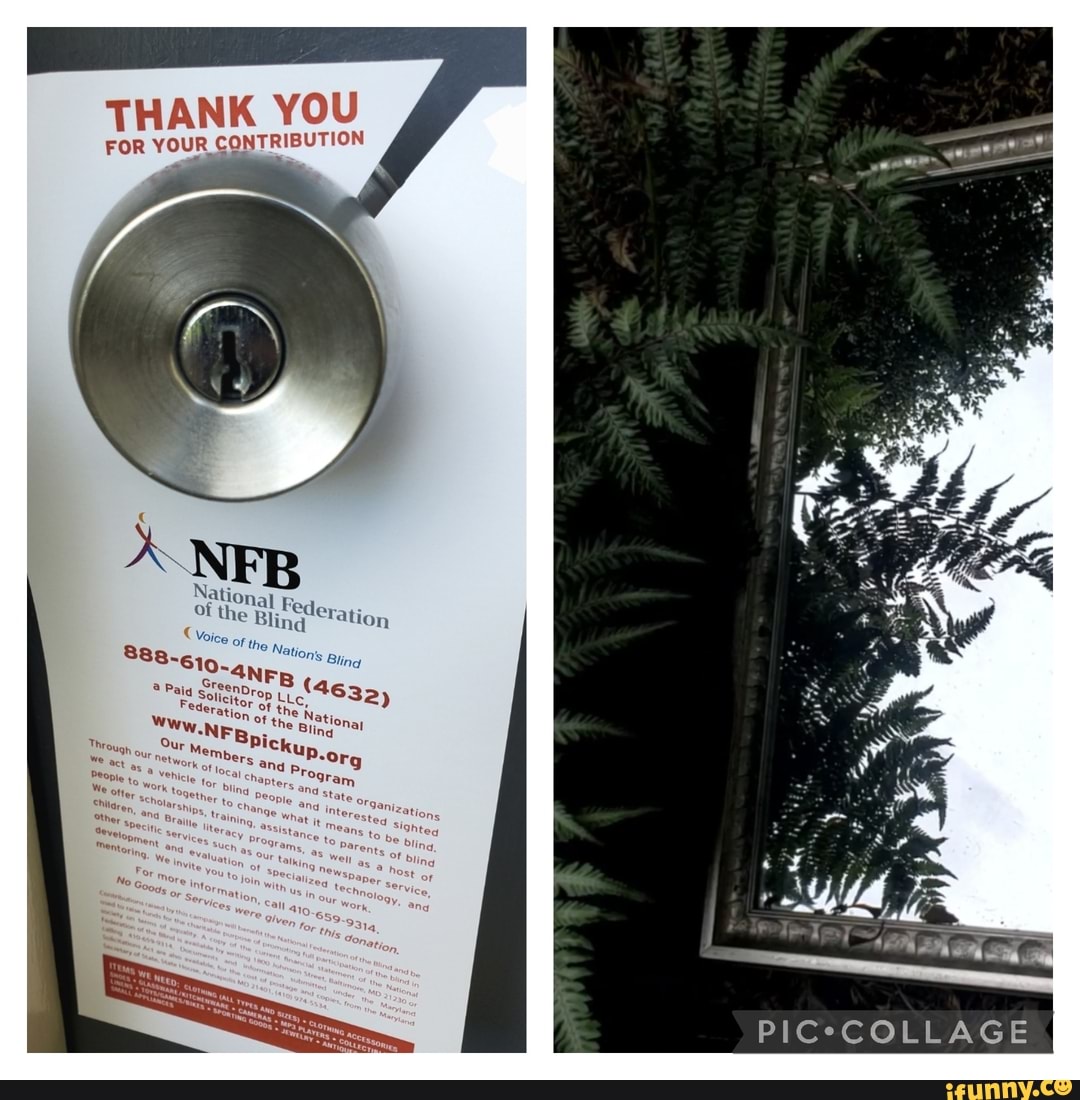 THANK YOU FOR YOUR CONTRIBUTION PIC*COLLAGE - iFunny