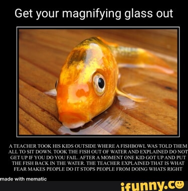 Fishbowl memes. Best Collection of funny Fishbowl pictures on iFunny