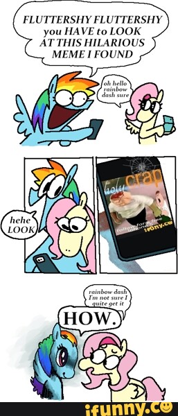 FLUTTERSHY FLUTTERSHY you HAVE to LOOK AT THIS HILARIOUS MEME I FOUND ...