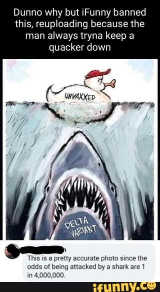 Dunno why but iFunny banned this, reuploading because the man always ...