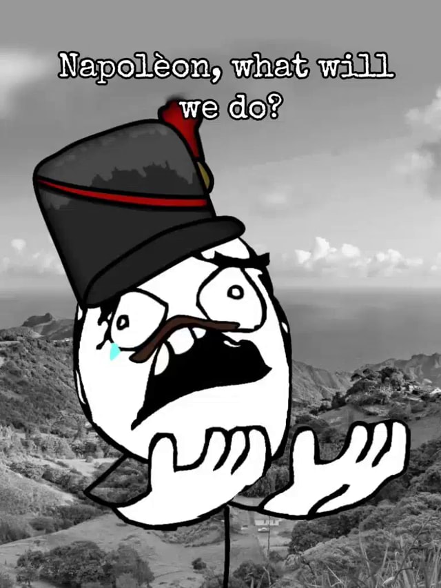 Napoleon Meme