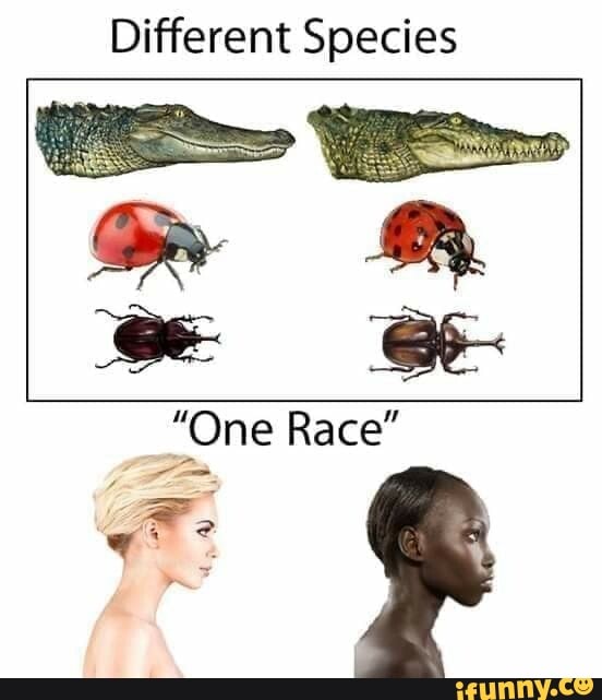 Different Species "One Race" af - iFunny