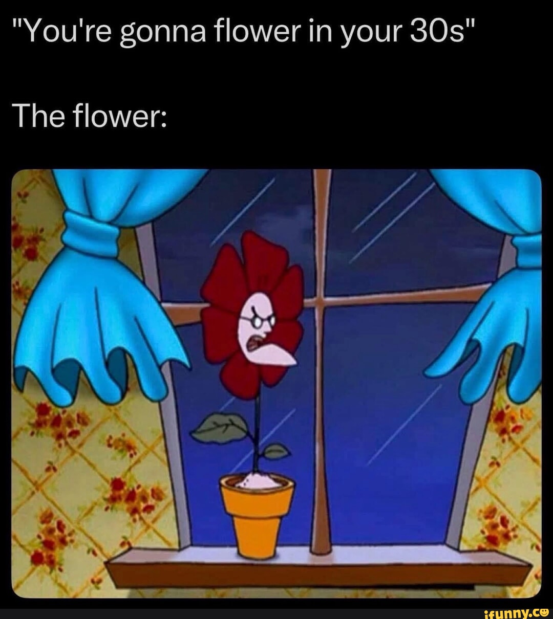 "You're gonna flower in your The flower: - iFunny