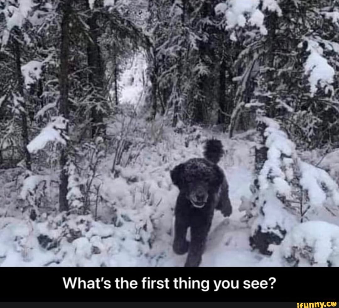 What's the first thing you see? - iFunny