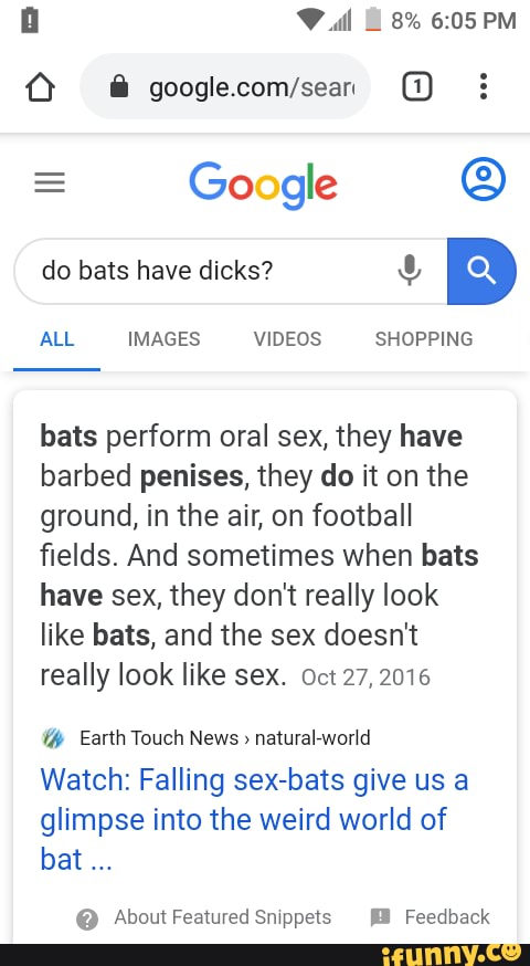 Bats Perform Oral Sex They Have Barbed Penises They Do It On The Ground In The Air On