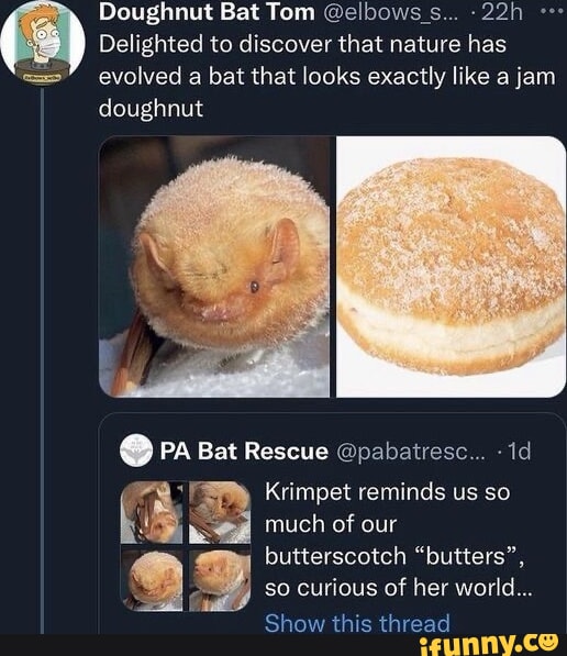 Krimpet memes. Best Collection of funny Krimpet pictures on iFunny