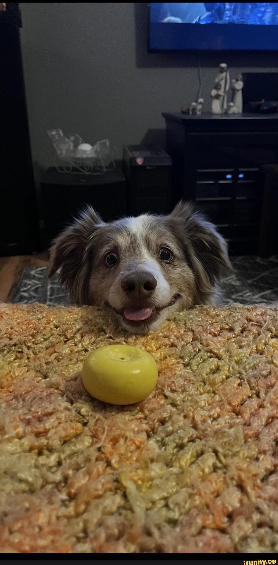 Doozie memes. Best Collection of funny Doozie pictures on iFunny