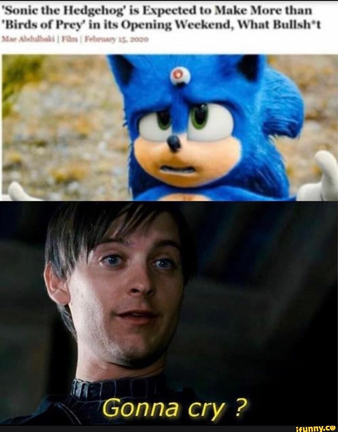 'Sonic the Hedgehog' is Expected to Make More than 'Birds of Prey' in ...