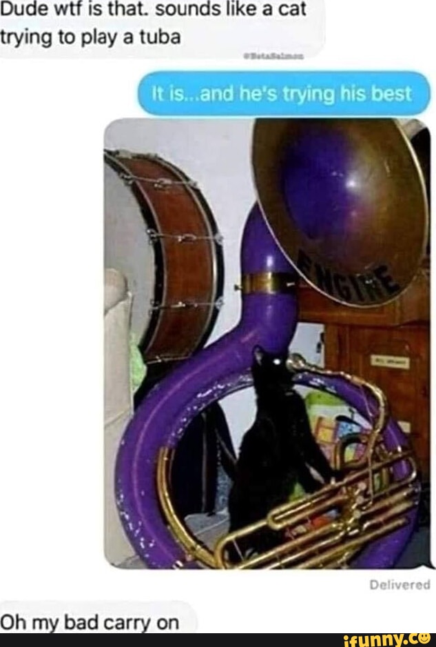 Wit memes. Best Collection of funny Wit pictures on iFunny