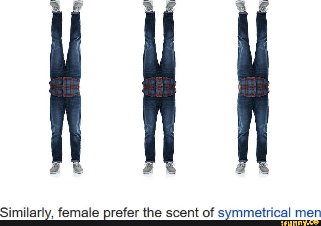 Symmetrical memes. Best Collection of funny Symmetrical pictures on iFunny