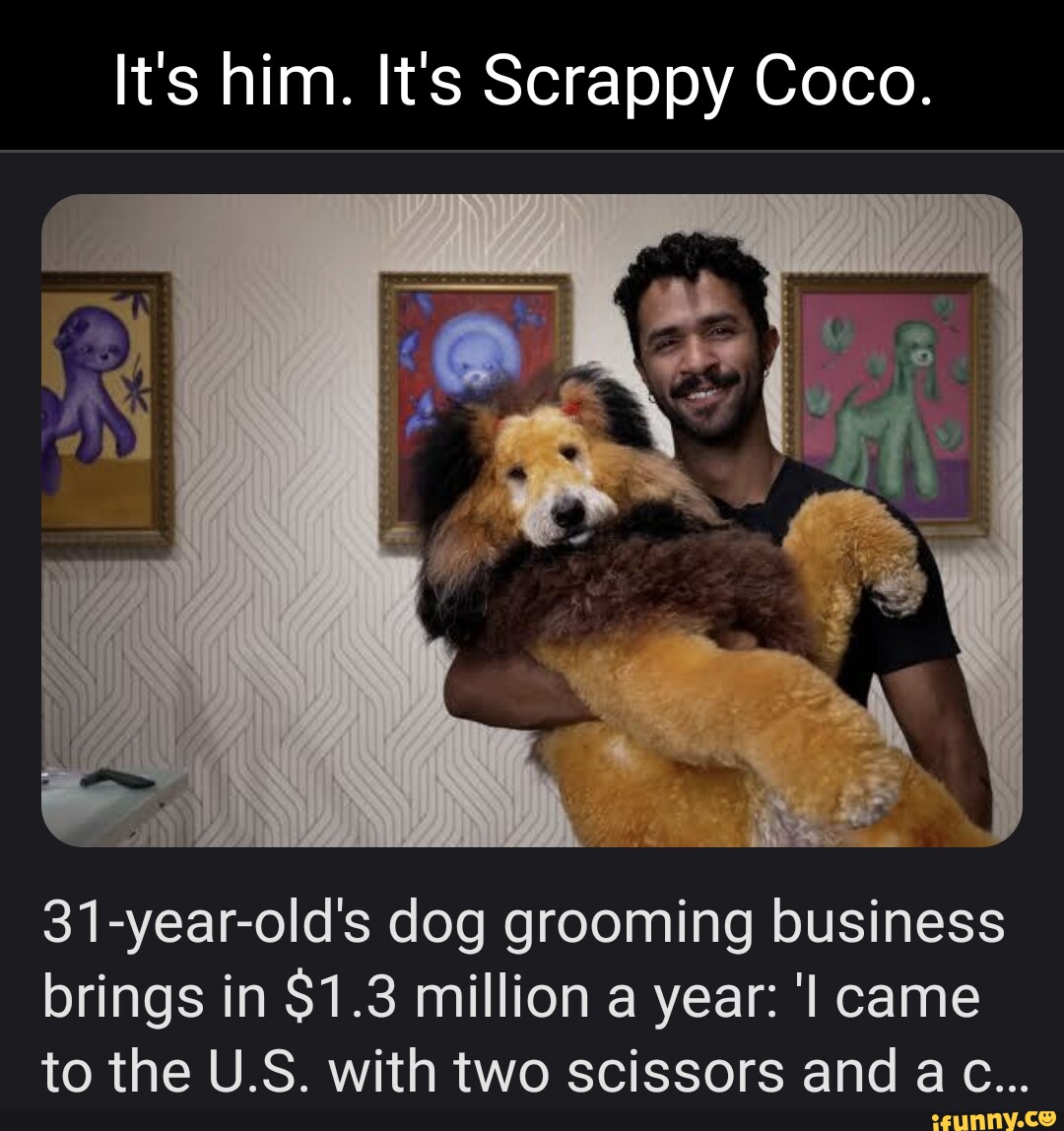 It's him. It's Scrappy Coco. 31-year-old's dog grooming business brings ...