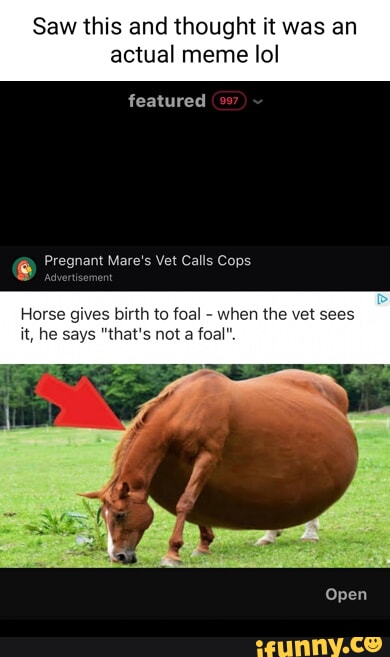 Saw this and thought it was an actual meme lol featured Mare's Vet ...
