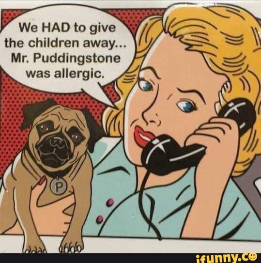 SS We HAD to give the children away... Mr. Puddingstone was allergic ...