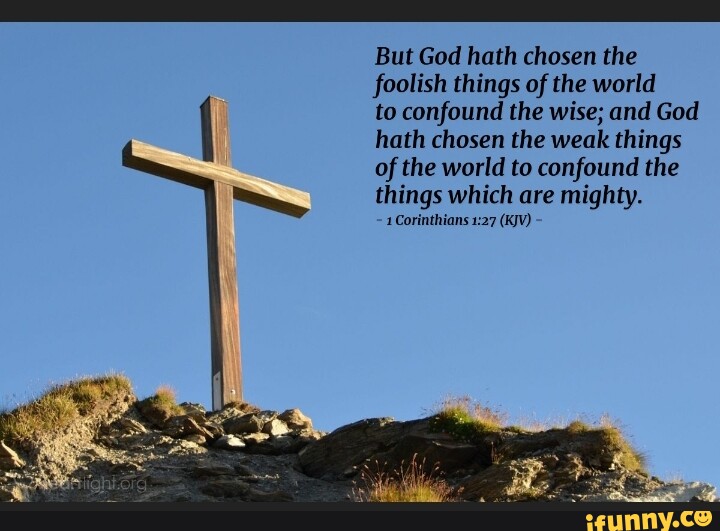 Confound memes. Best Collection of funny Confound pictures on iFunny