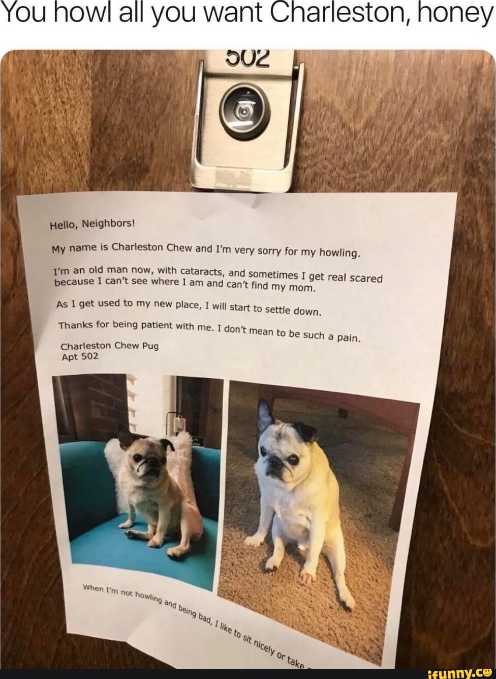 Cataracts memes. Best Collection of funny Cataracts pictures on iFunny