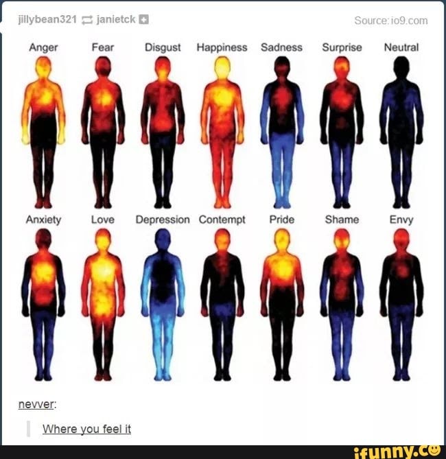 Anger Fear Disgust Happiness Sadness Surprise Neutral Anxiety Love ...