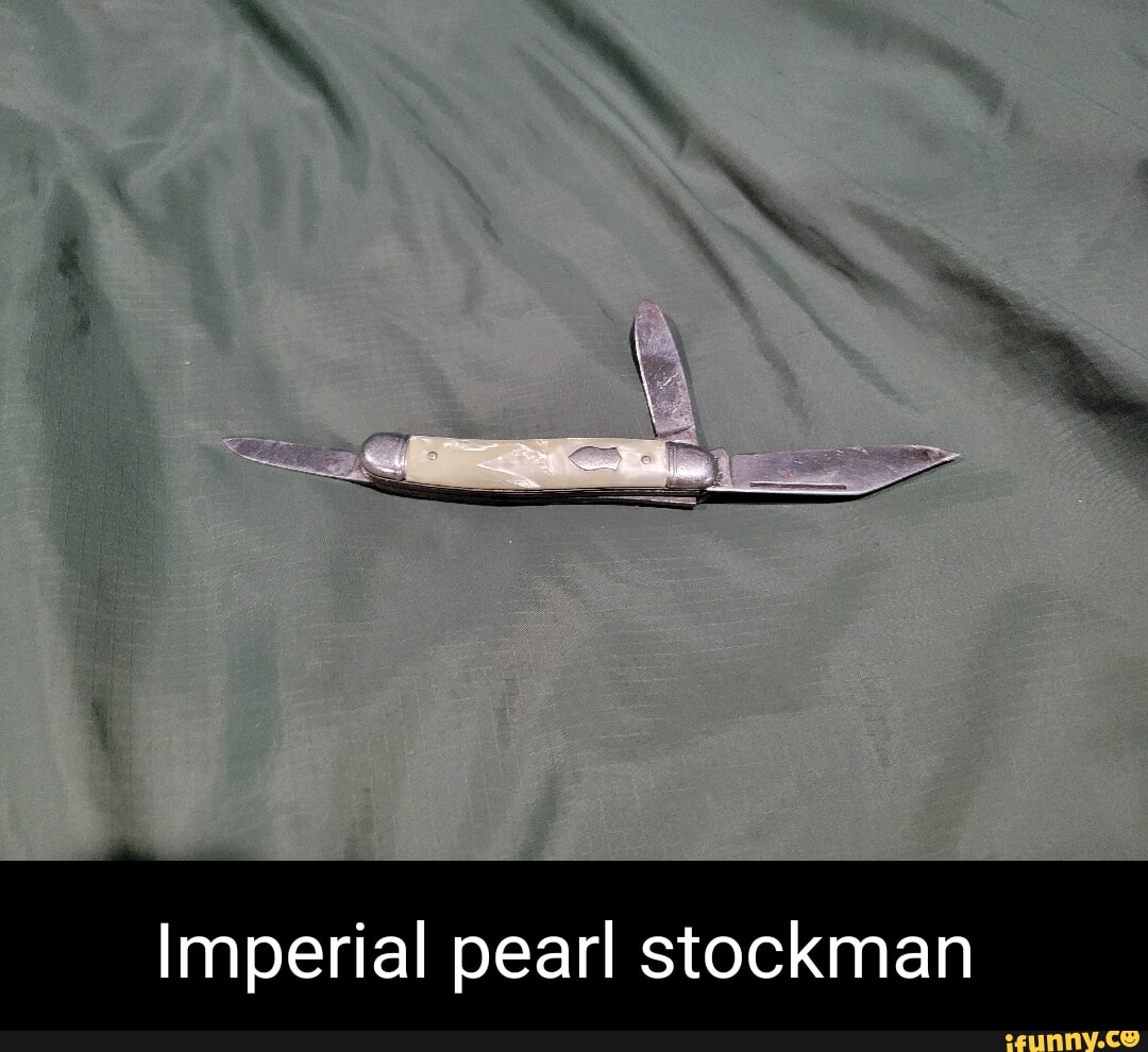 Pearl memes. Best Collection of funny Pearl pictures on iFunny