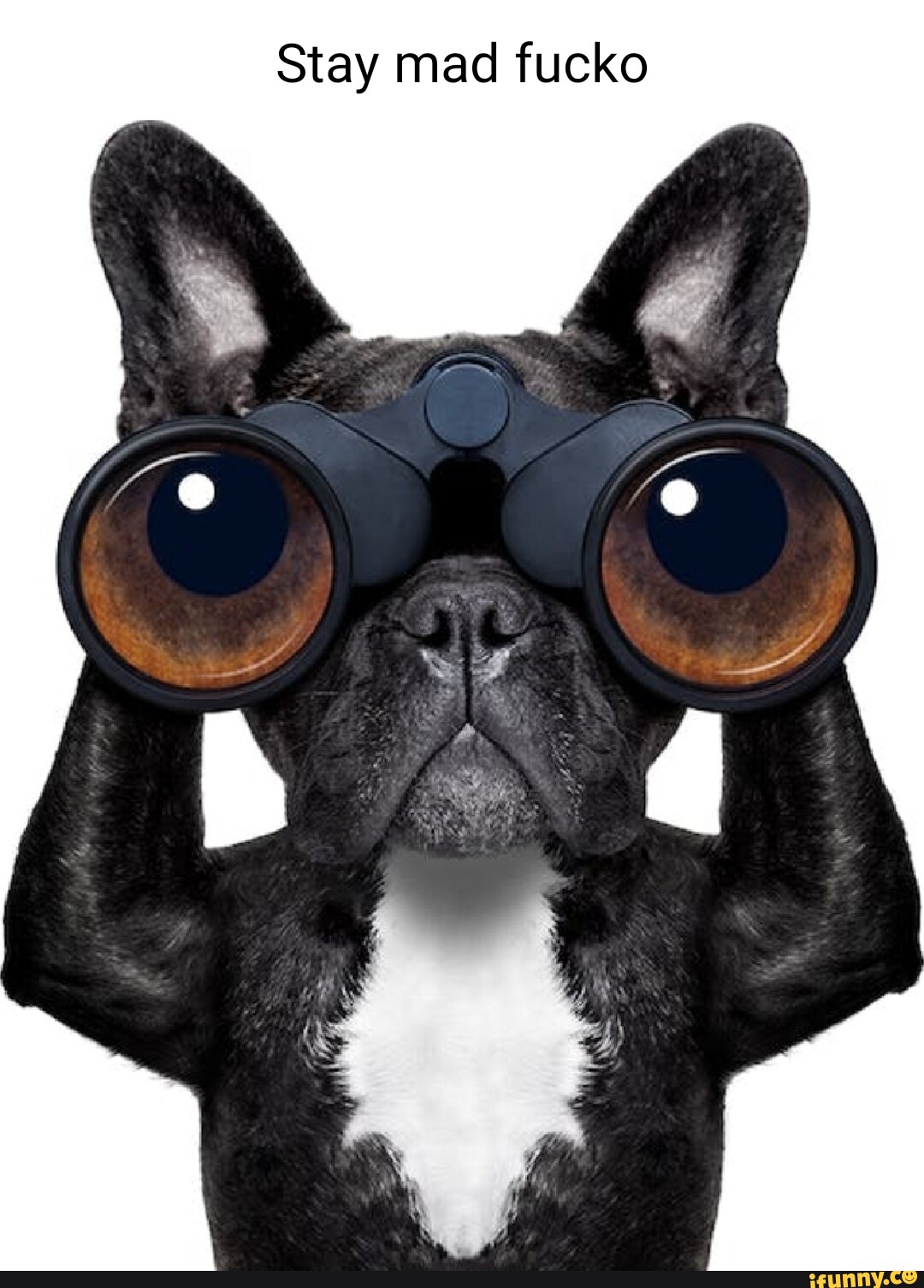 Binoculars memes. Best Collection of funny Binoculars pictures on iFunny