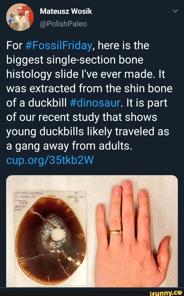 Histology memes. Best Collection of funny Histology pictures on iFunny