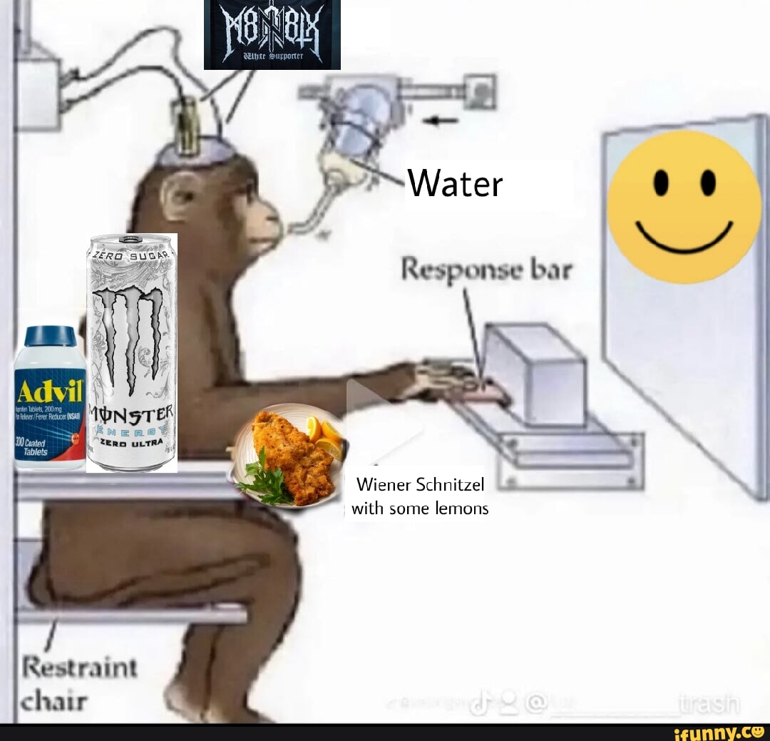 Water bar Wiener Schnitzel with some lemons - iFunny