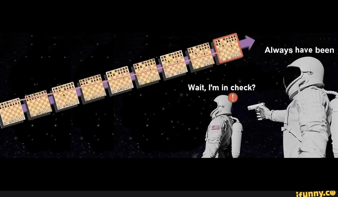 5d_chess_with_multiverse_time_travel memes. Best Collection of funny 5d ...