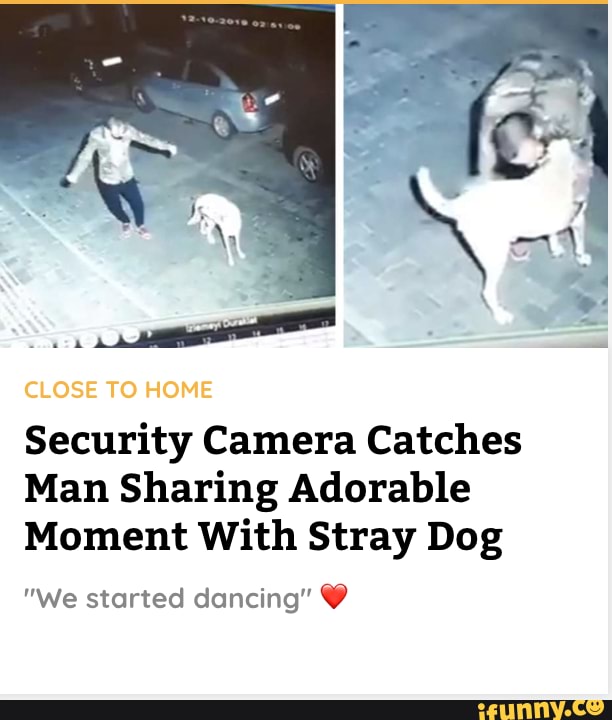 Security Camera Catches Man Sharing Adorable Moment With Stray Dog "We ...