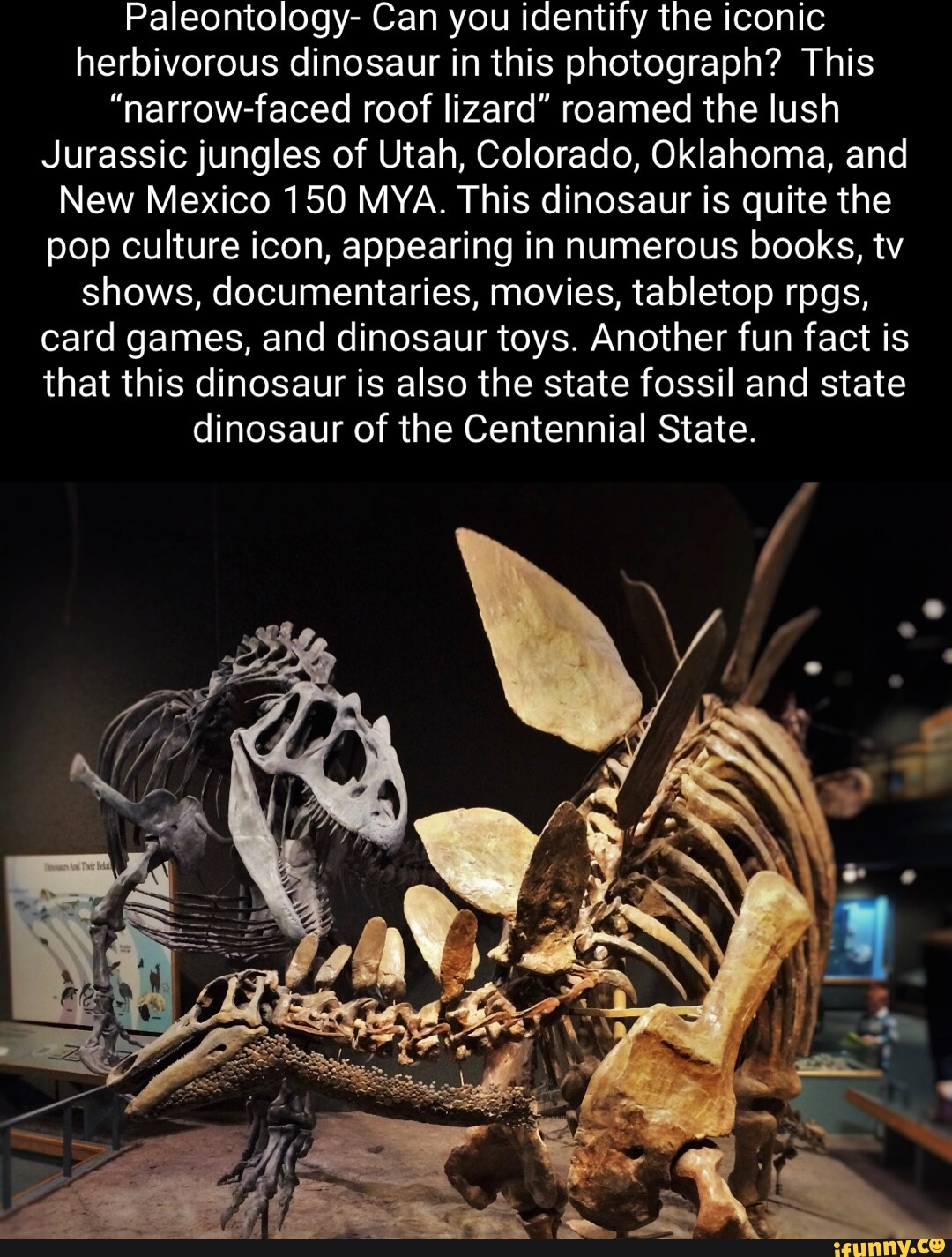 Paleontology- Can you identify the iconic herbivorous dinosaur in this ...