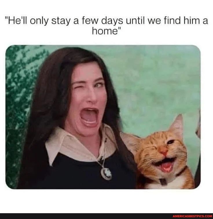 Well, who knew! - "He'll only stay a few days until we find him a home ...