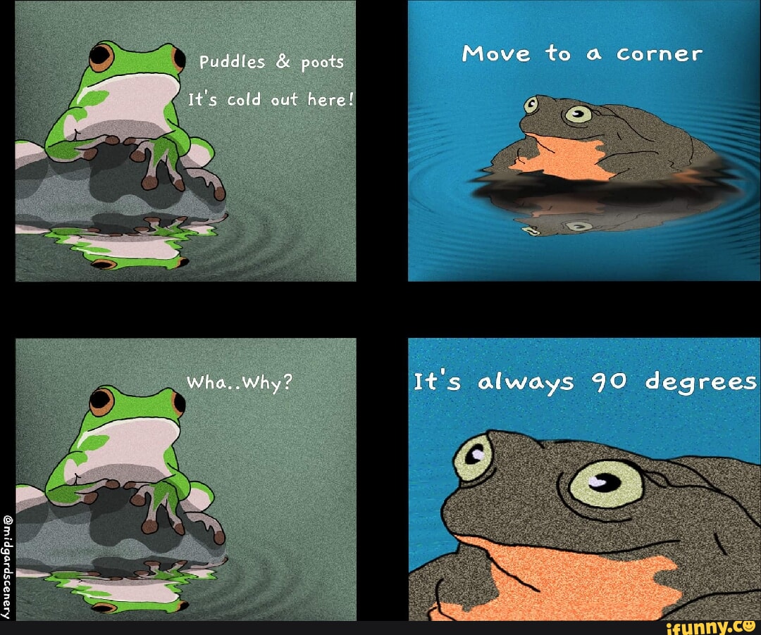 Degrees memes. Best Collection of funny Degrees pictures on iFunny