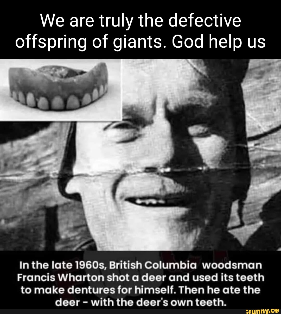 Dentures memes. Best Collection of funny Dentures pictures on iFunny