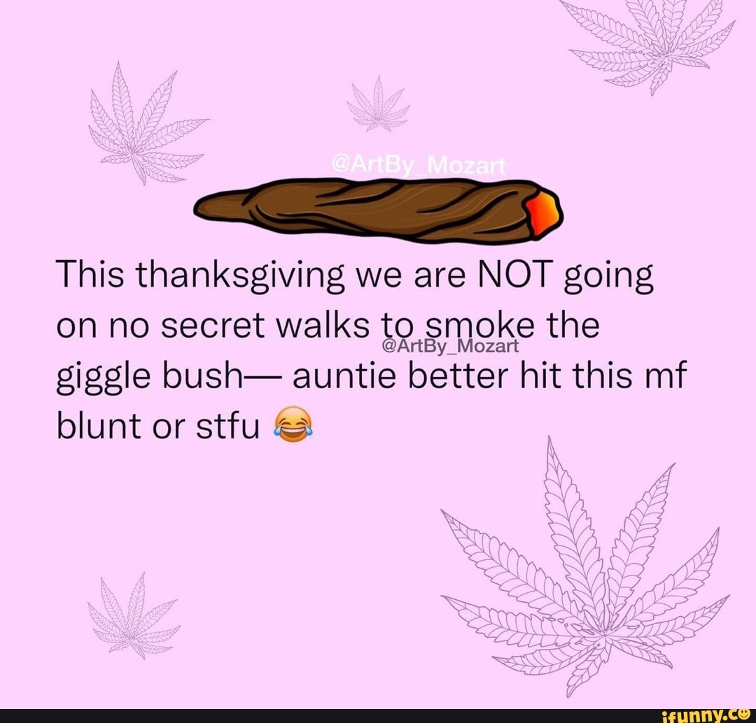 "ANBy Mozart This thanksgiving we are NOT going on no secret walks to ...