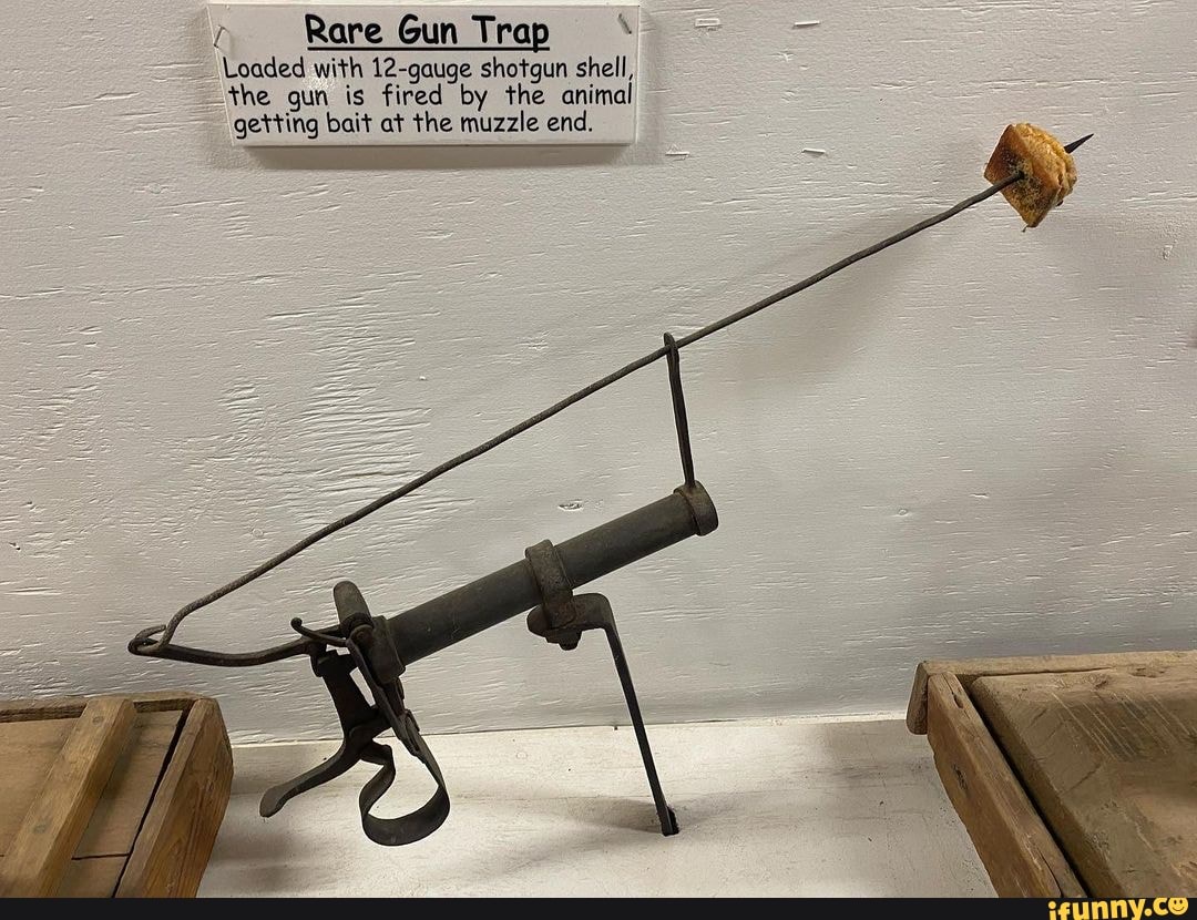Rare Gun Trap Loaded with 12-gauge shotgun shell, the gun is fired by ...