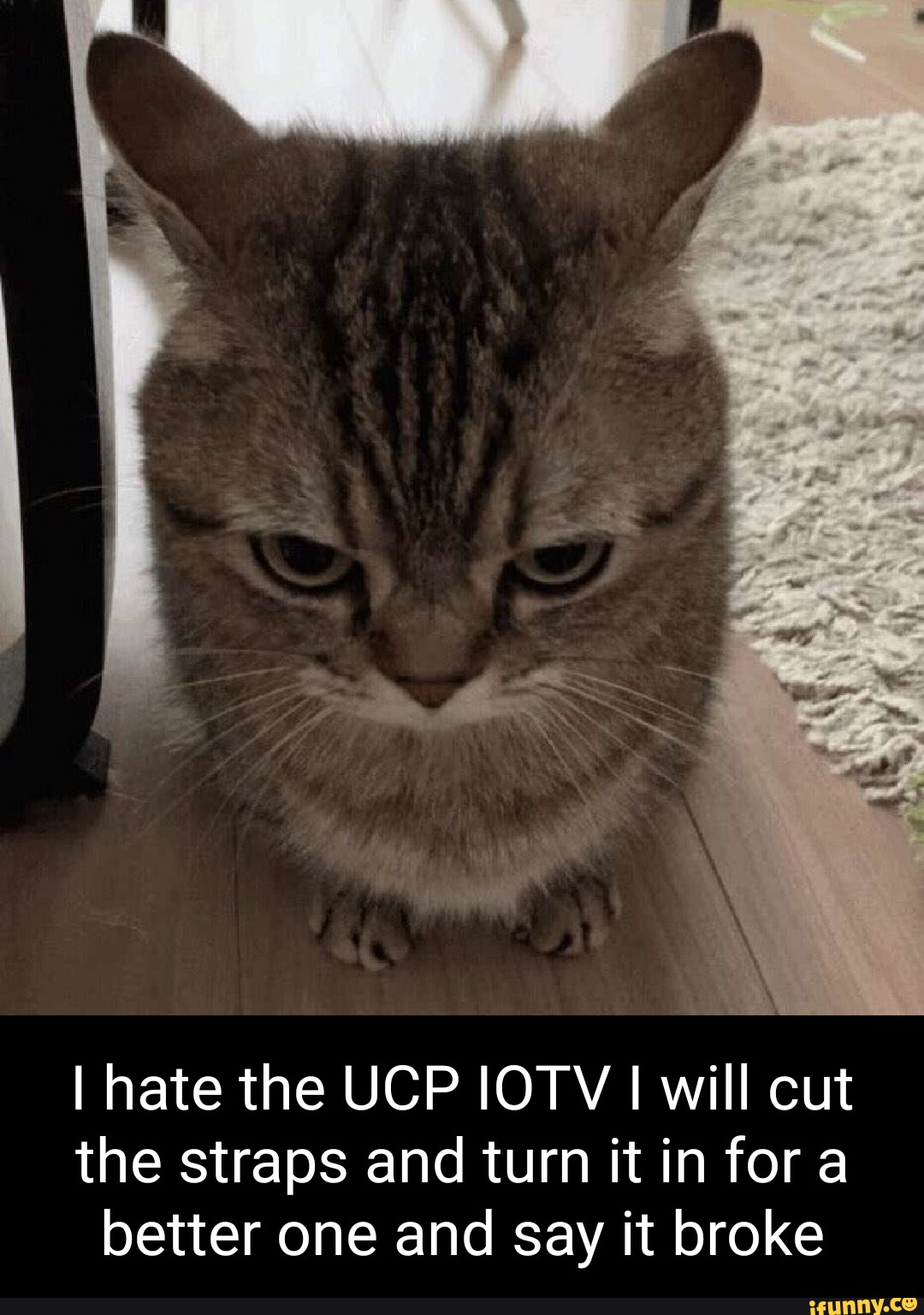 Ucp memes. Best Collection of funny Ucp pictures on iFunny