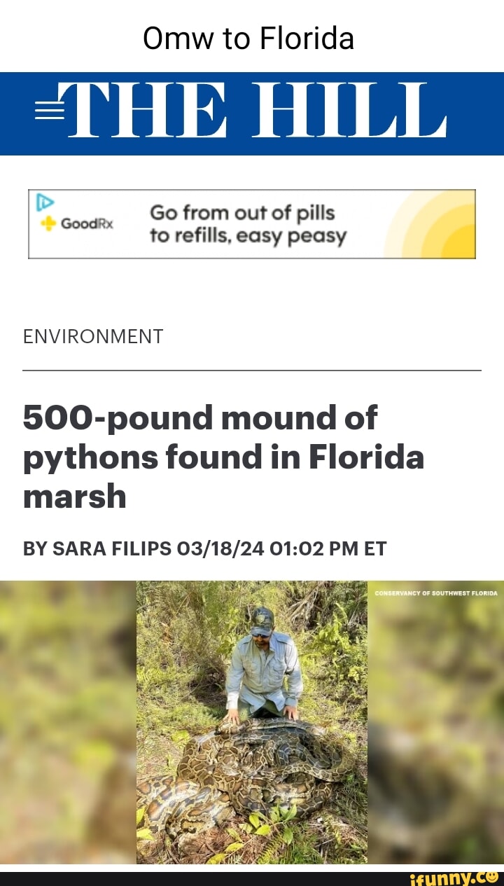 Mound memes. Best Collection of funny Mound pictures on iFunny